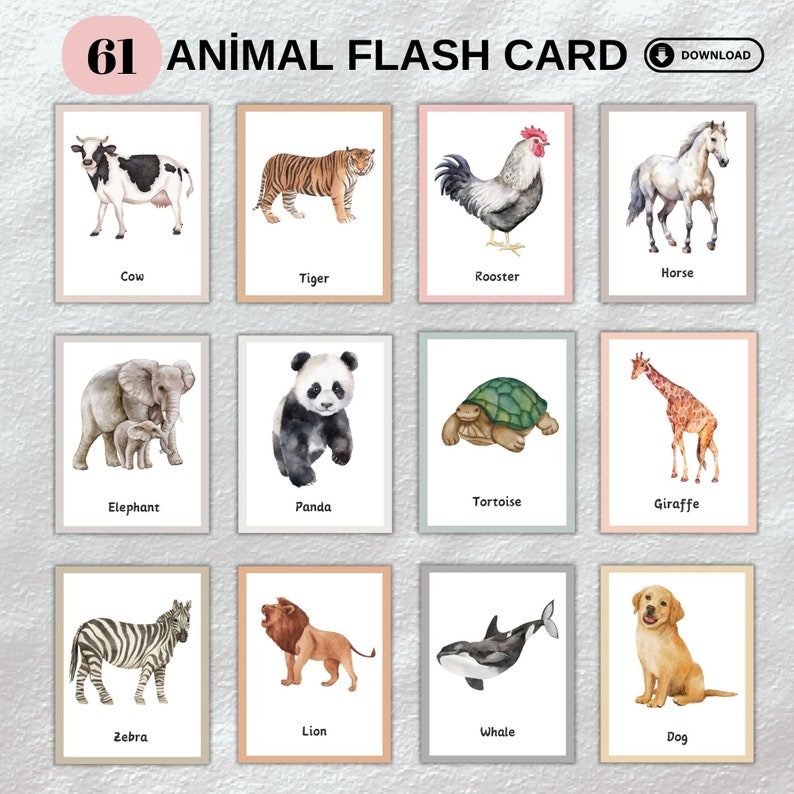 Animals Flash Cards Preschool Flash Cards for Kids Animals Flash Cards ...
