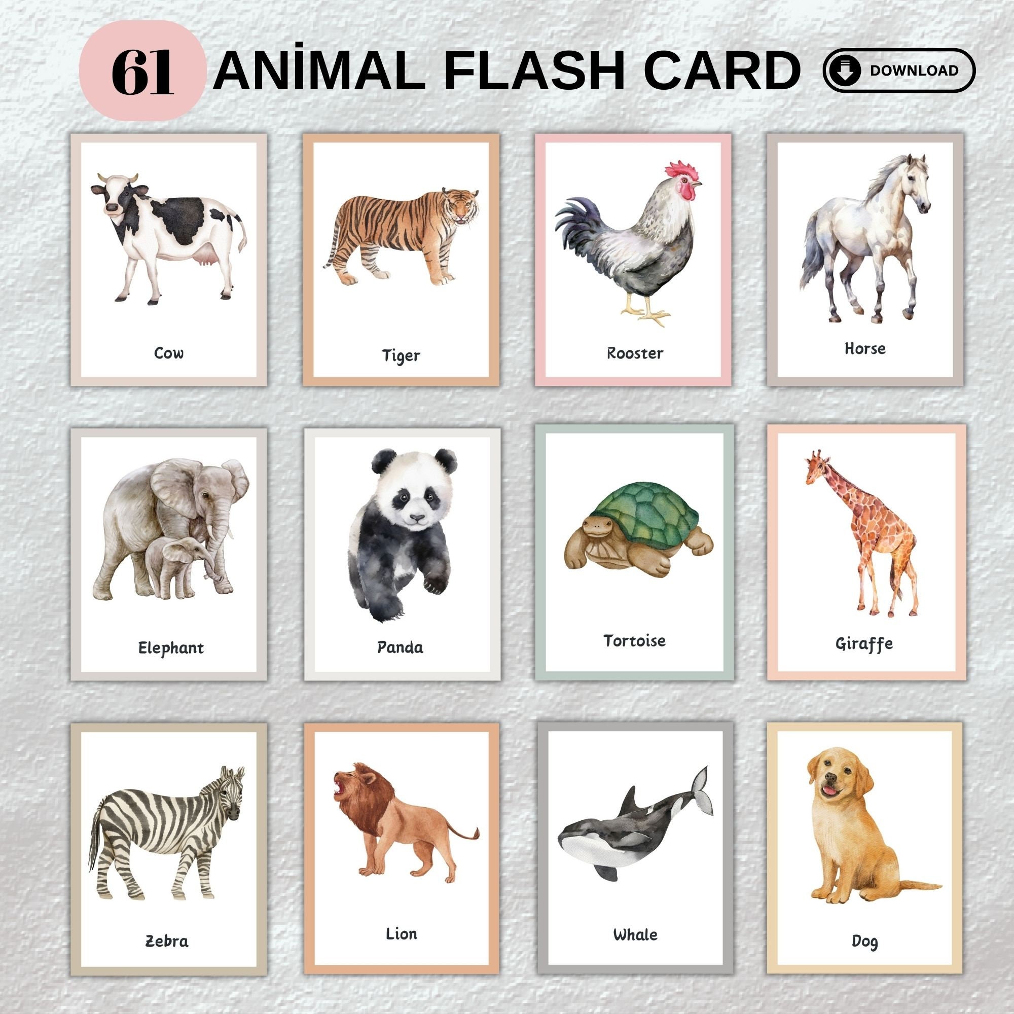 Animals Flash Cards Forest Animals Montessori Flashcards Fashcards for ...
