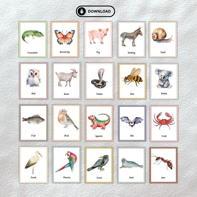 Animals Flash Cards Forest Animals Montessori Flashcards Fashcards for ...
