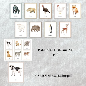 Animals Flash Cards Forest Animals Montessori Flashcards Fashcards for ...