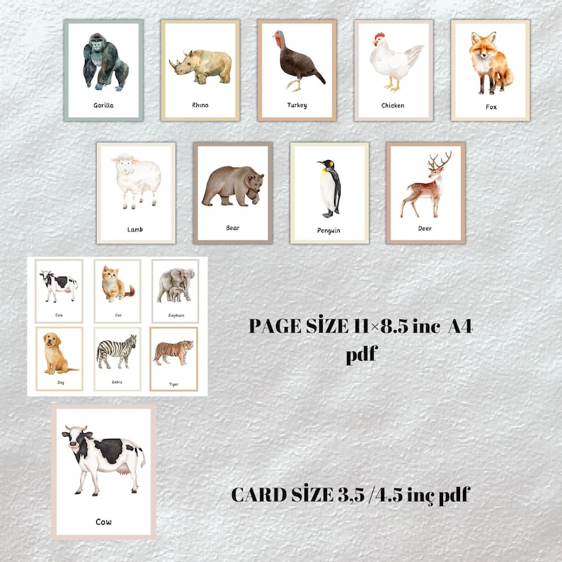 Animals Flash Cards Forest Animals Montessori Flashcards Fashcards for ...
