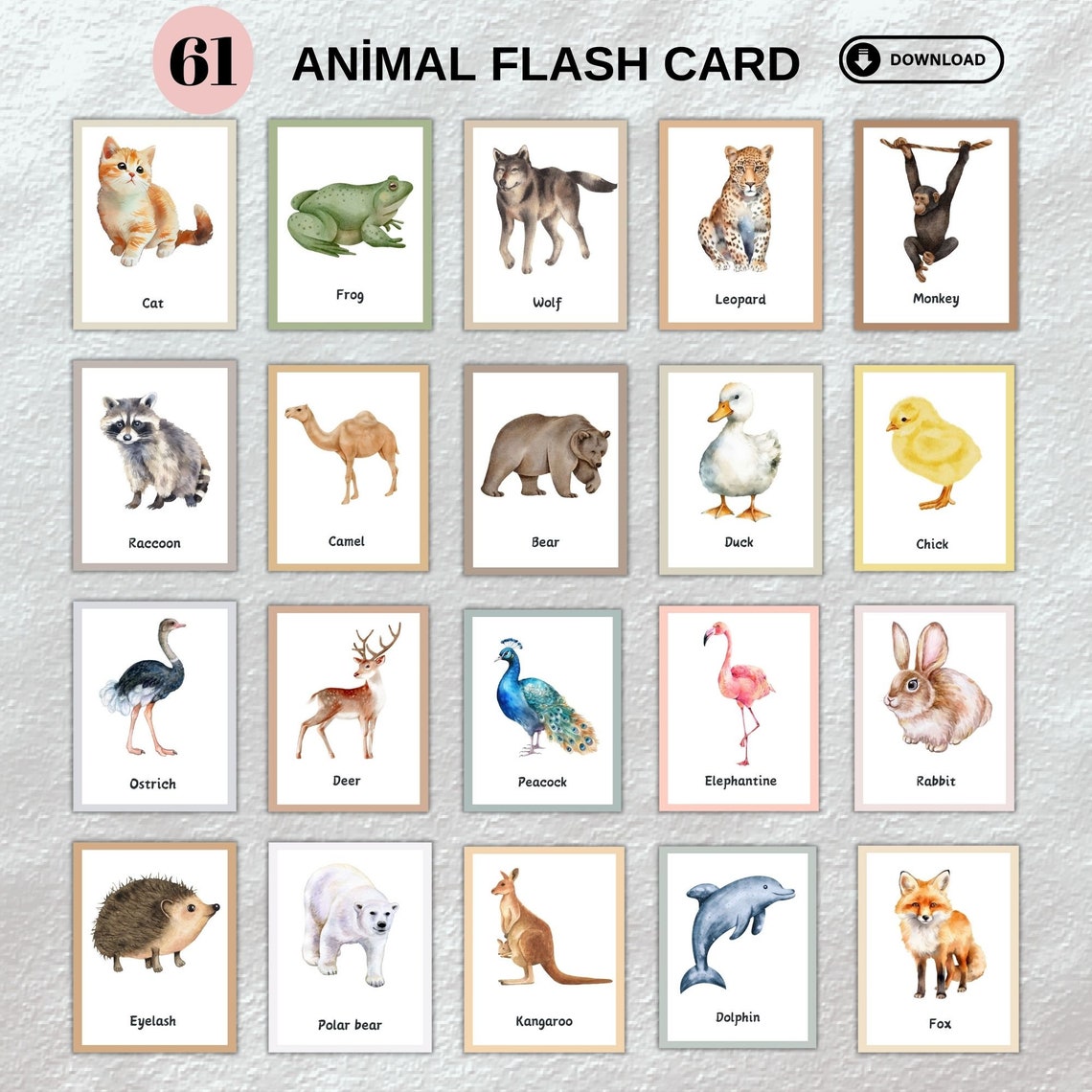 Animals Flash Cards Preschool Flash Cards for Kids Animals Flash Cards ...