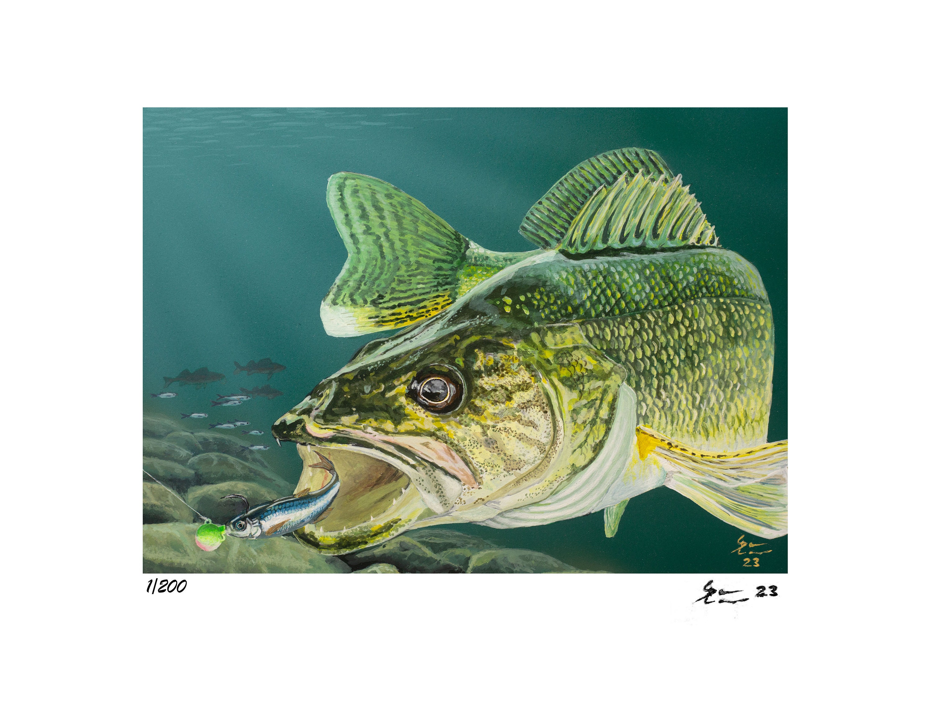 2024 MN Walleye Stamp - Etsy