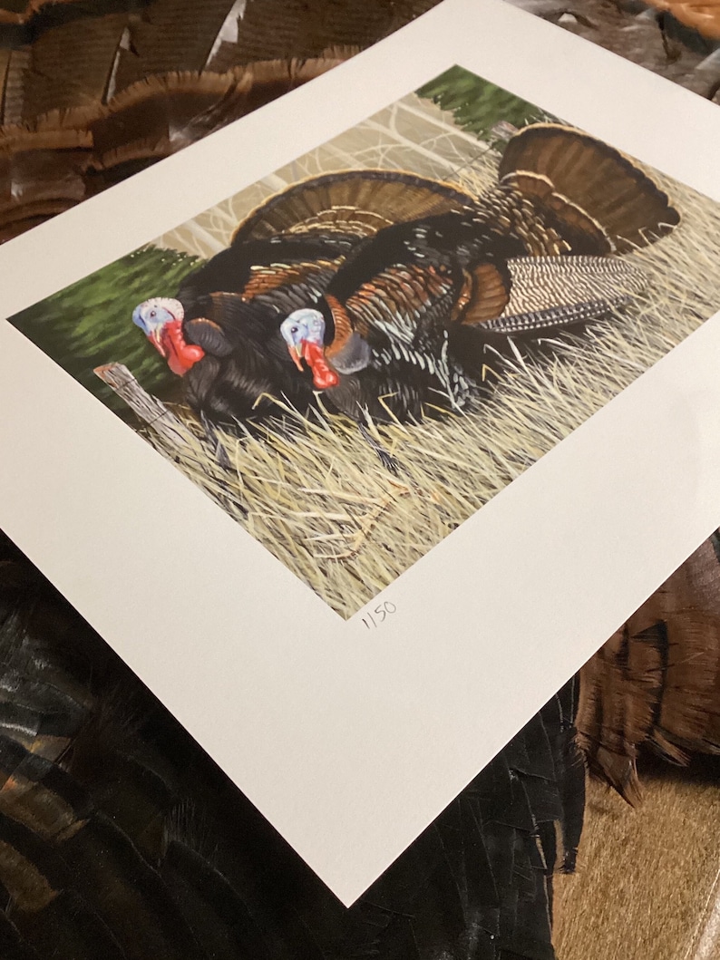 Wild Turkey Print - Etsy
