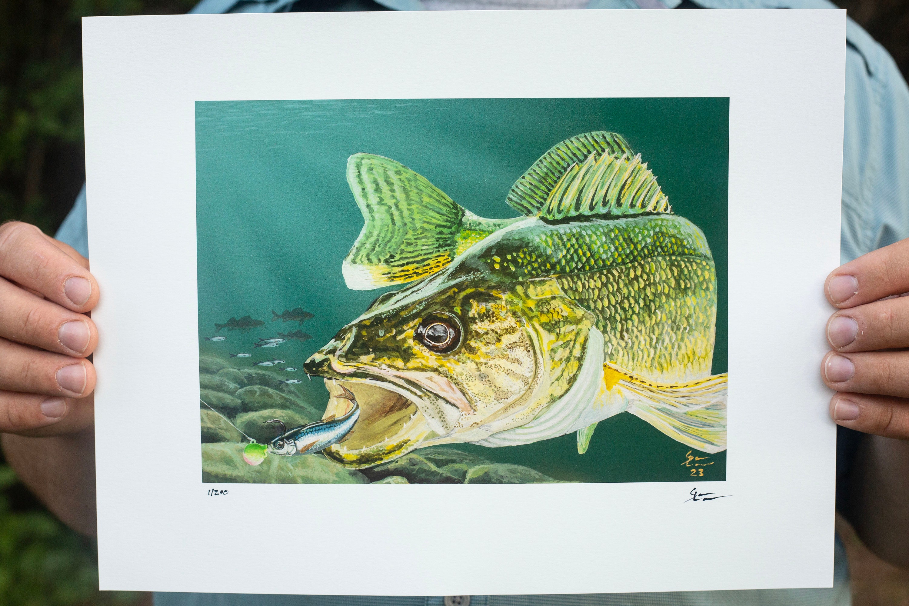 2024 MN Walleye Stamp - Etsy