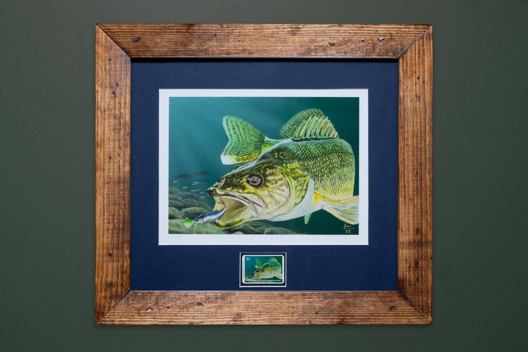 Sportsman's Edition - Framed 2024 Walleye Stamp - Stamp Feature - Etsy