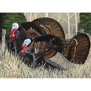 Wild Turkey Print - Etsy