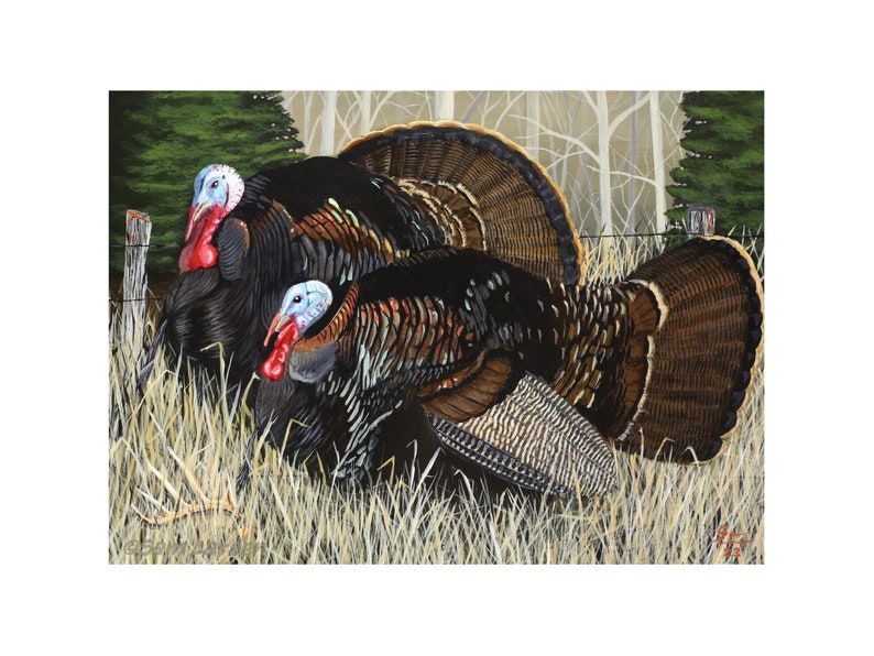 Wild Turkey Print - Etsy