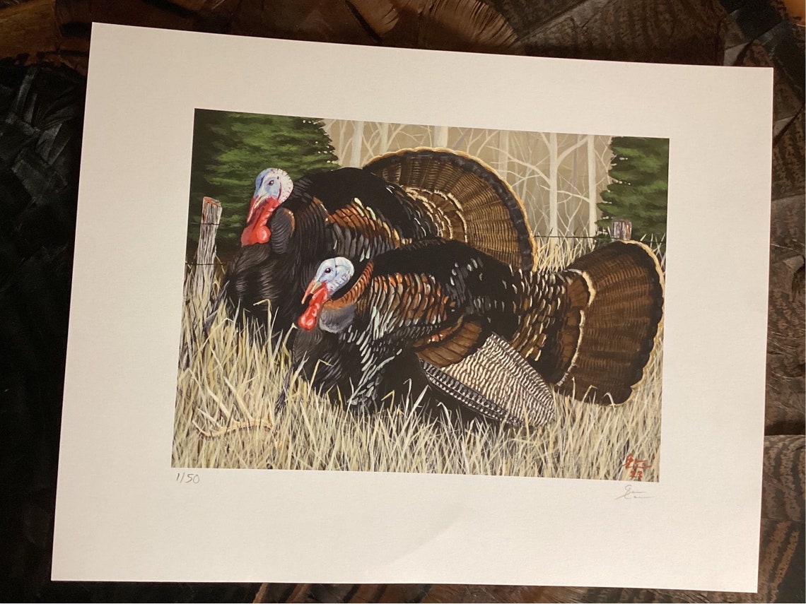 Wild Turkey Print - Etsy