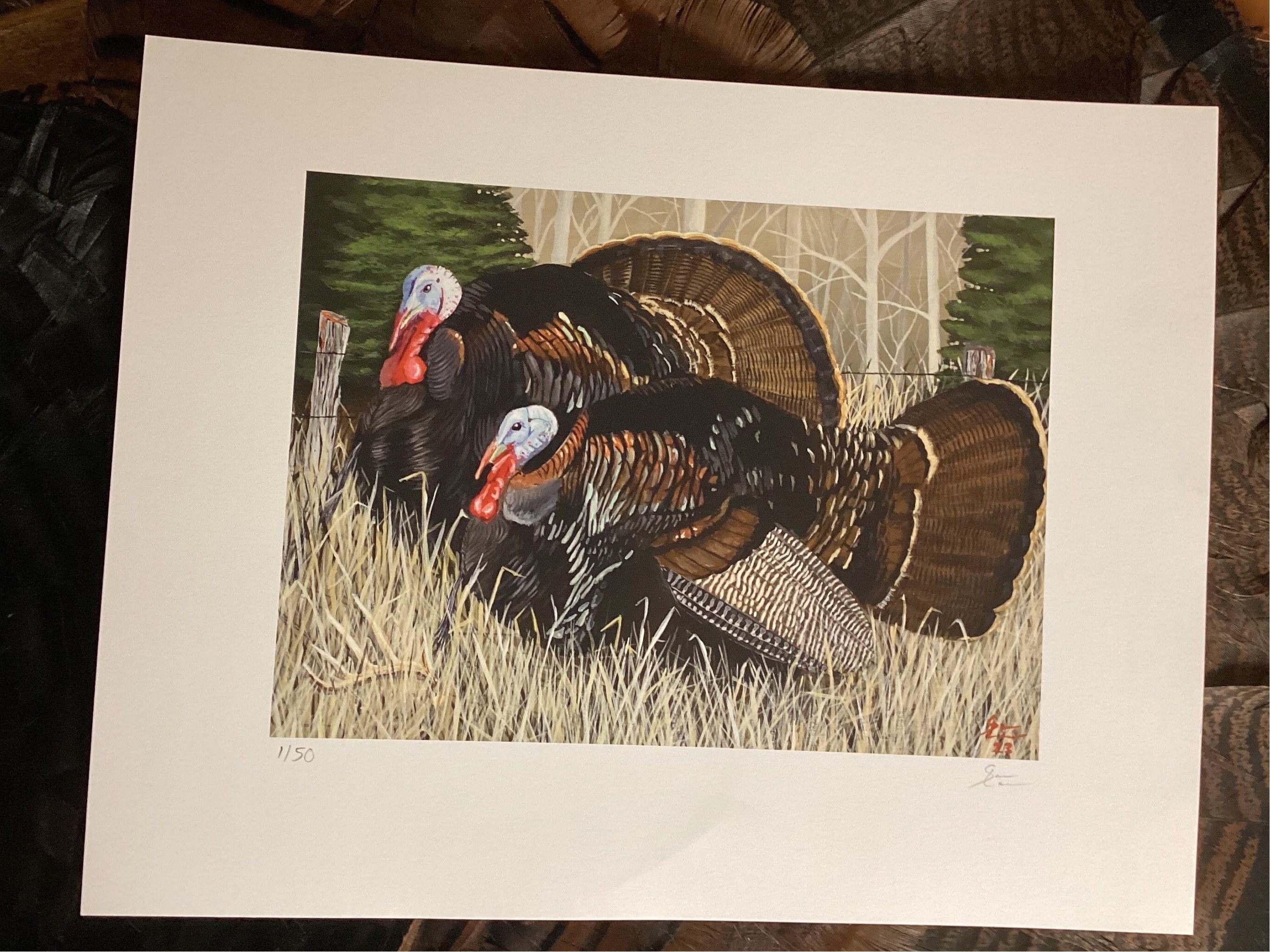 Wild Turkey Print - Etsy