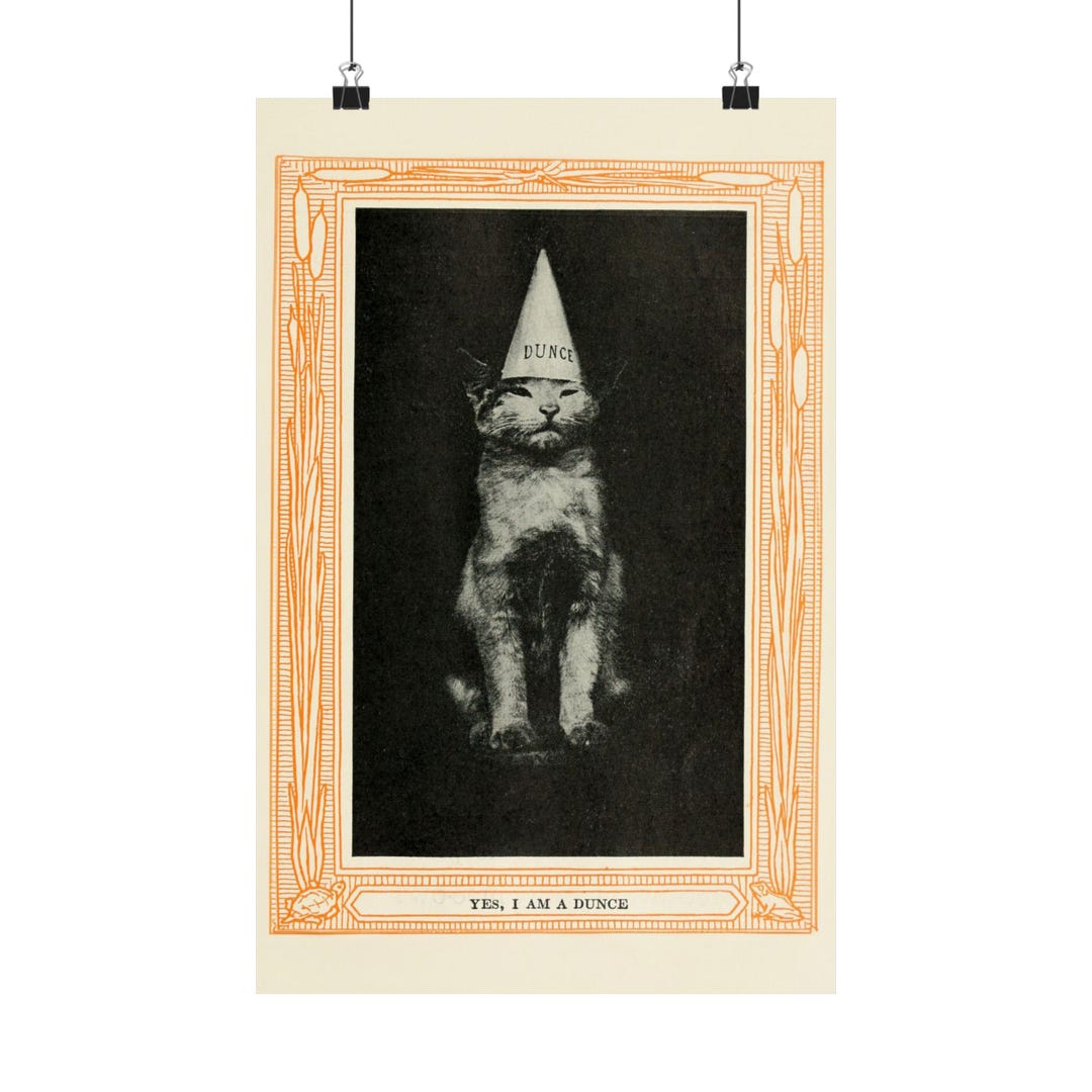 Funny Cat - "yes, I Am a Dunce" - Vintage Design (from 1911) - Matte ...