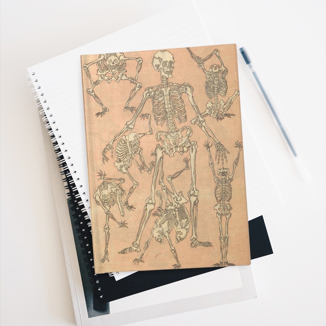 New, Blank Anatomical Sketchbook/journal With Antique/vintage Book ...