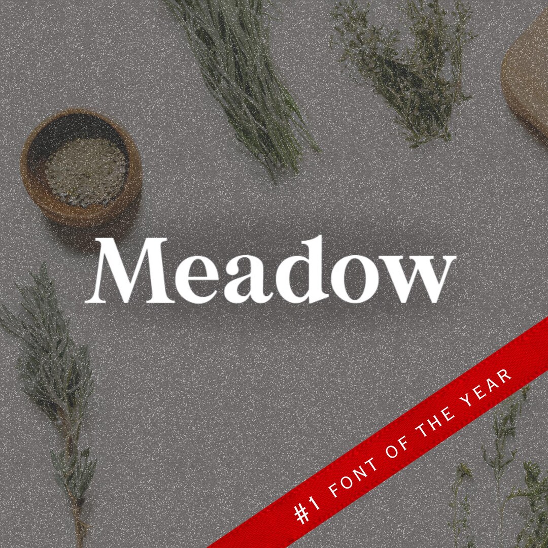 Meadow Flower Lovely Tall Vintage TTF Calligraphy Font Elegant ...
