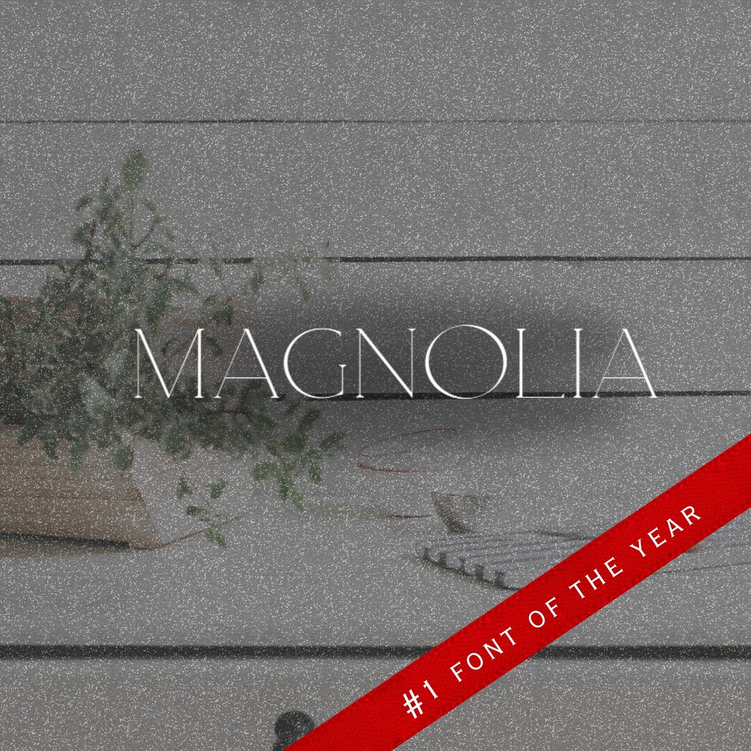 Magnolia Marker Handwritten Font Modern Script Calligraphy Typeface for ...