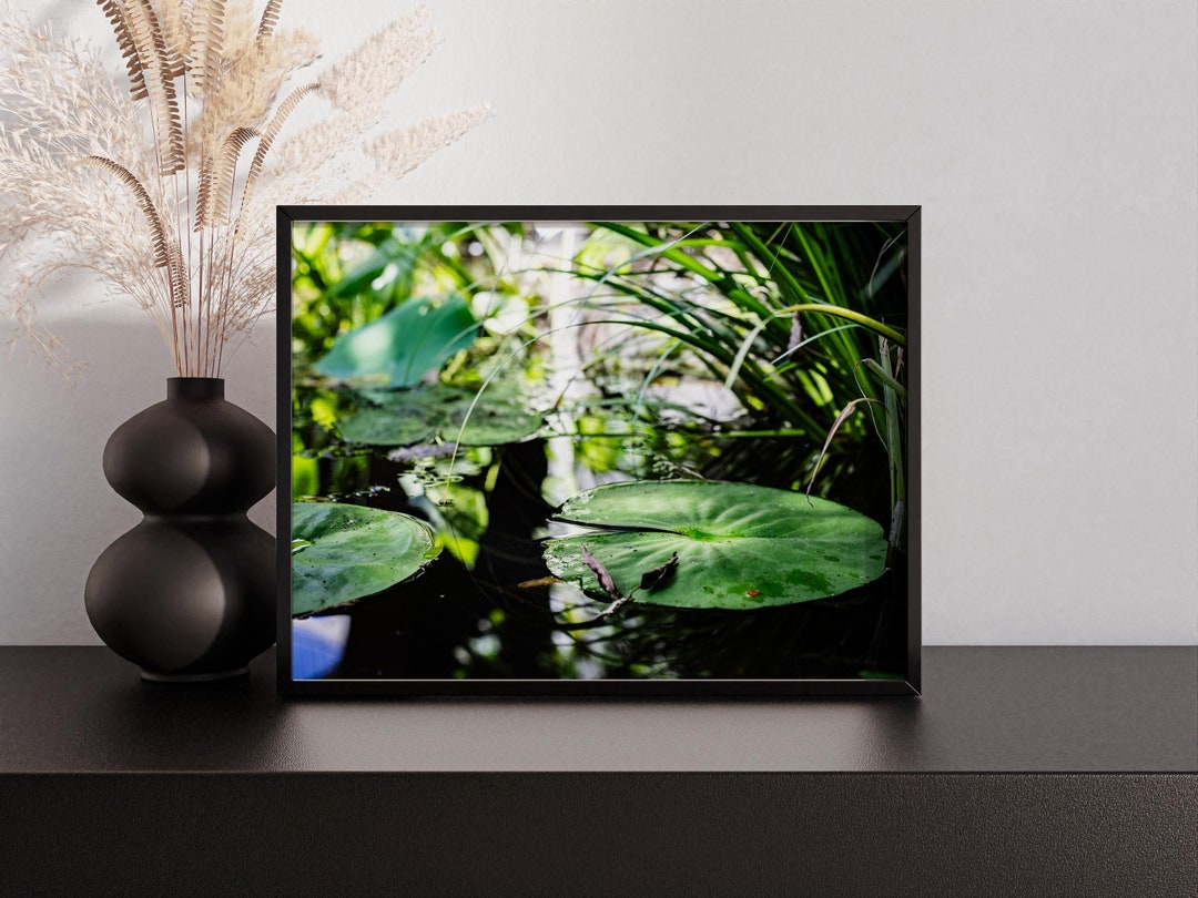 Lil Pad Pond Nature Photography - Printable Fine Art - DIGITAL DOWNLOAD ...