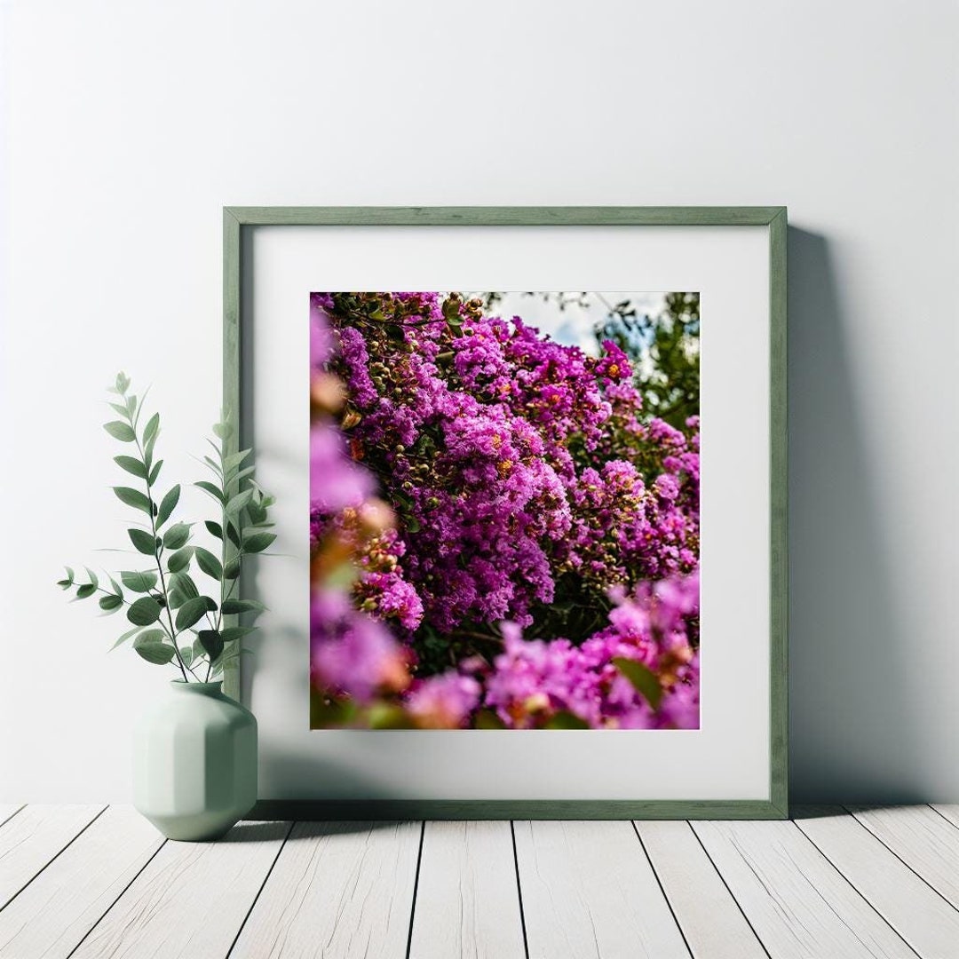 Crepe Myrtle Flower Tree Nature Photography - Printable Fine Art ...