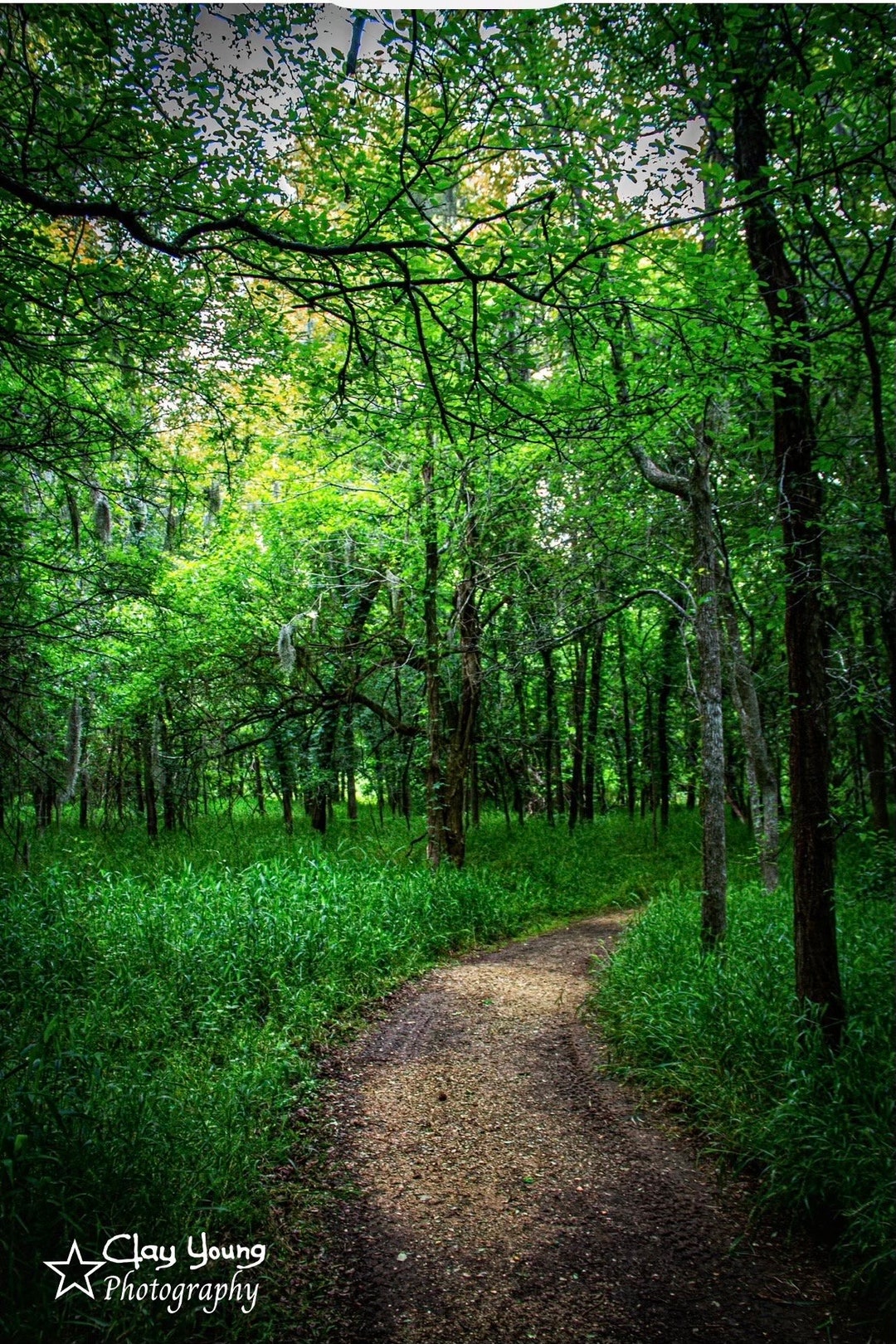 Peaceful Path - Etsy