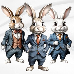 Elegant Bunnies, Bunny in a Suit, Rabbit in Clothes, Fancy Bunny, Bunny ...