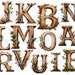 Woodland Alphabet, Forest Alphabet, Woodland Animals Clipart, Cute ...