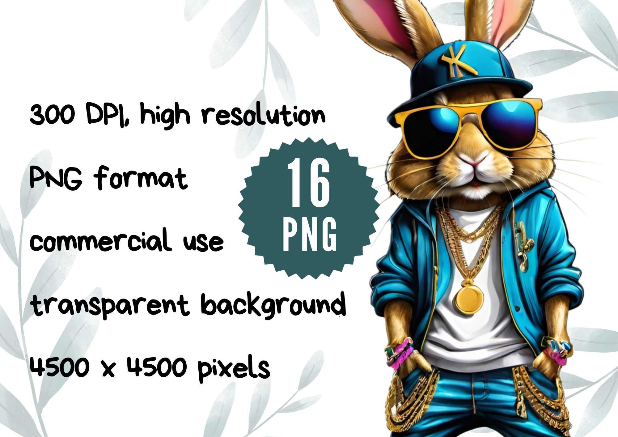 Cool Bunny, Rabbit in Clothes, Bunny Sublimation, Bunny Clipart, Hip ...