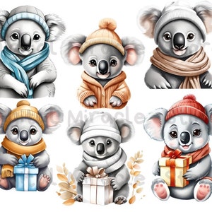 Winter Koala Clipart, Koala in a Hat, Aussie Witer PNG, Australian ...