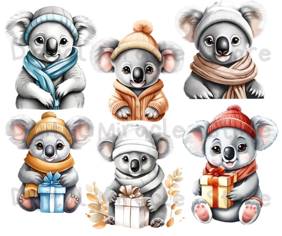 Winter Koala Clipart, Koala in a Hat, Aussie Witer PNG, Australian ...