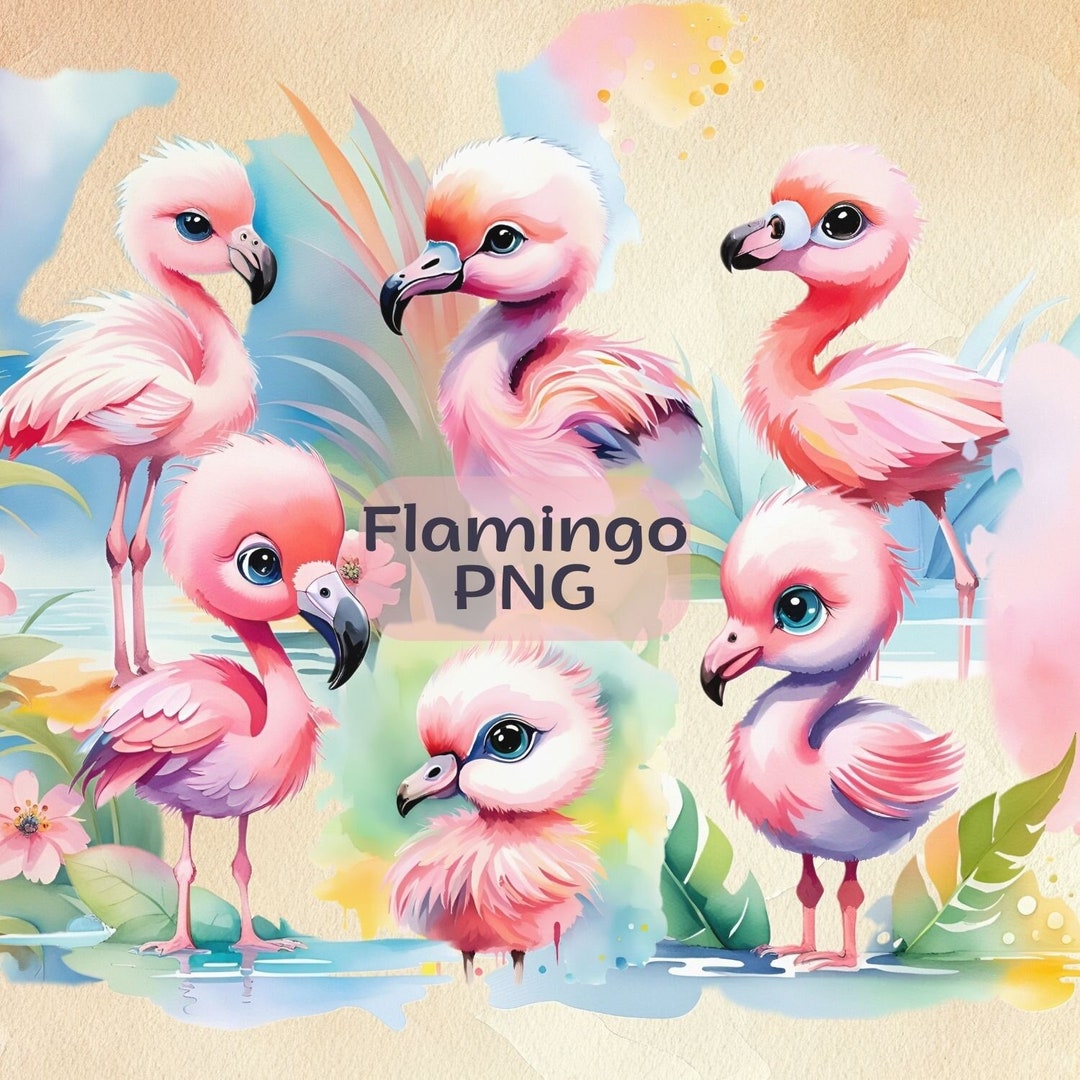 Flamingo Watercolor Clipart, Flamingo PNG, Flamingo Clipart, Cute ...