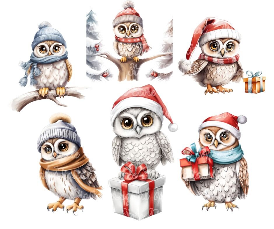 Christmas Owl PNG, Cute Xmas Owl PNG, Winter Owl Clipart, Owl in Hat ...