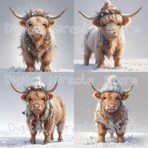 Christmas Highland Cow, Christmas Cow, Winter Highland Cow, Mooey ...