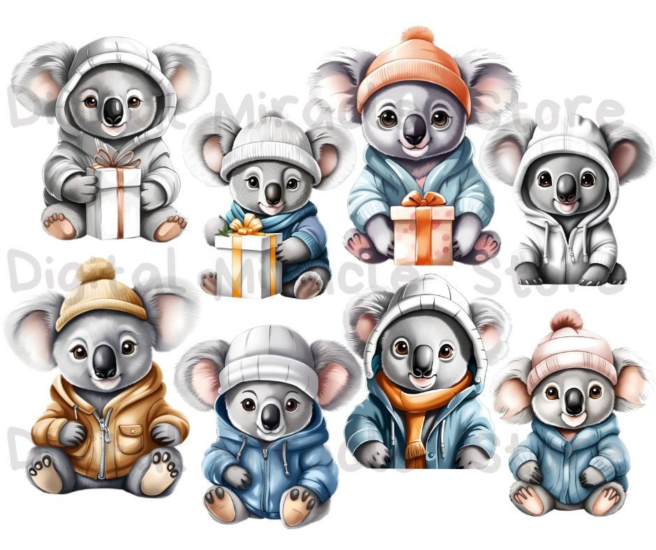Winter Koala Clipart, Koala in a Hat, Aussie Witer PNG, Australian ...