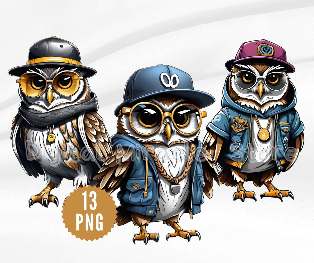 Hip Hop Owl, Owl With Glasses, Cool Birds PNG, Funny Owl, Birds Clipart ...