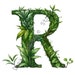 Jungle Alphabet, Tropical Leaves Alphabet, Moss Letters, Greenery ...