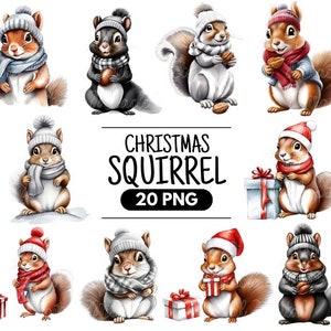 Christmas Squirrel PNG, Cute Squirrel PNG, Christmas Animals, Baby ...