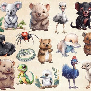 Aussie Animals, Baby Australian Animals PNG, Australian Birthday ...