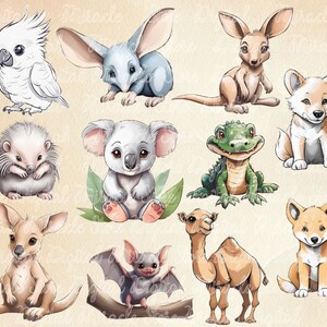 Aussie Animals, Baby Australian Animals PNG, Australian Birthday ...