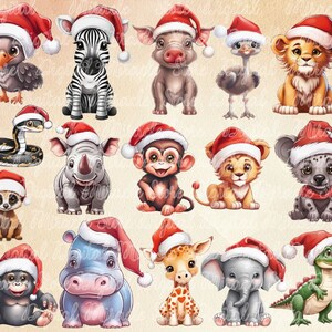 Safari Christmas PNG, Safari Animals Clip Art, Jungle Christmas Clipart ...