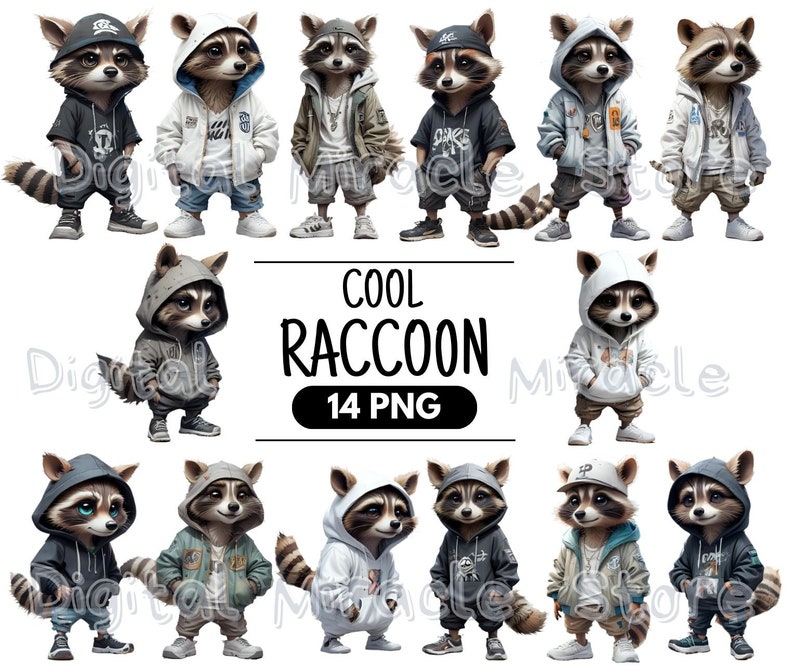 Hip Hop Raccoon, Cartoon Raccoon, Funny Raccoon PNG, Raccoon With Hat ...