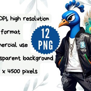 Cool Peacock, Funny Peacock PNG, Hip Hop Peacock Sublimation, Urban ...