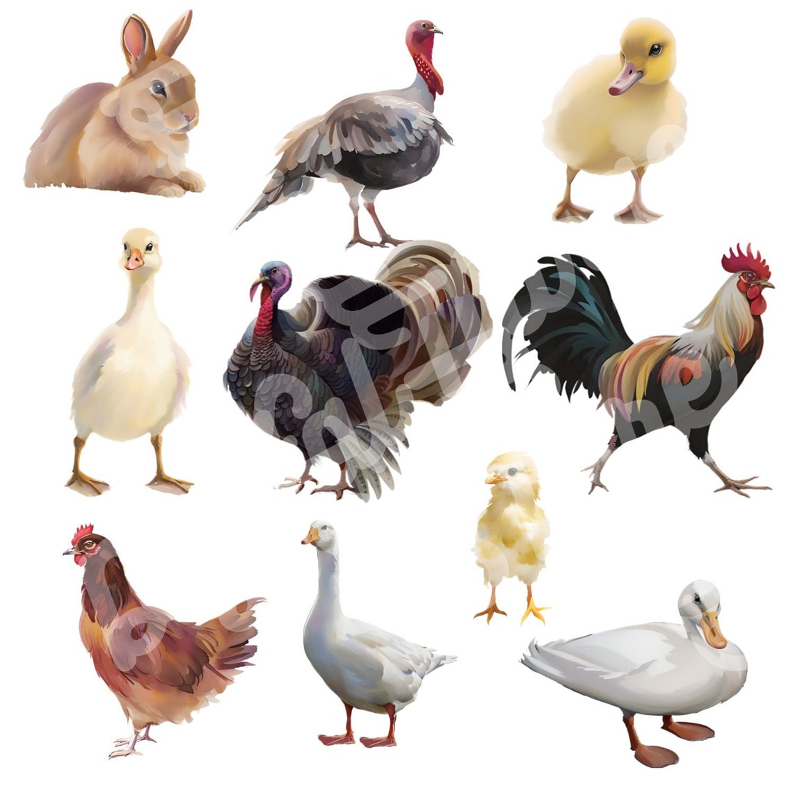 Farm Animals PNG, Farm Animals Clipart, Barn Animals Clipart, Barn ...