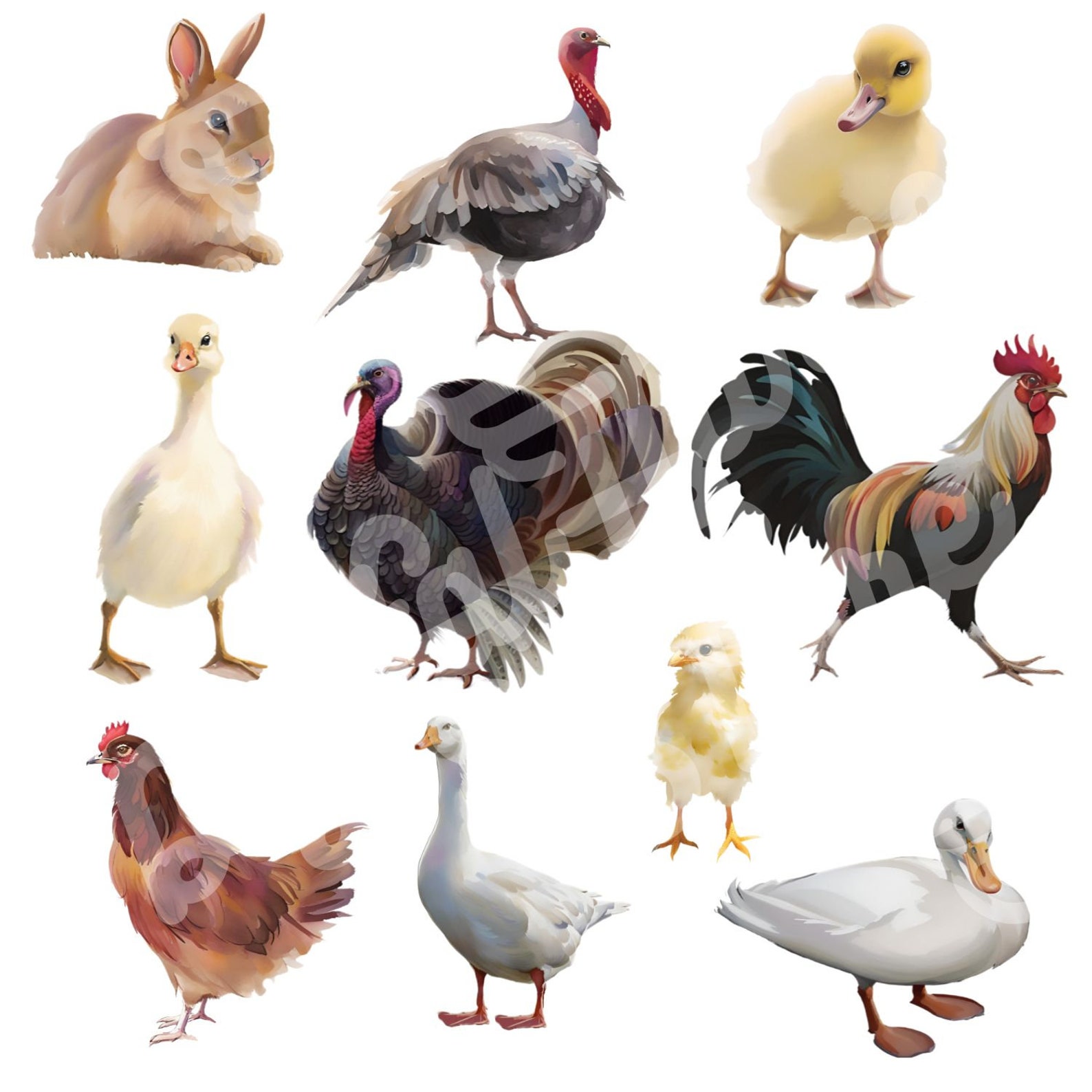 Farm Animals PNG, Farm Animals Clipart, Barn Animals Clipart, Barn ...