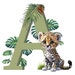Jungle Alphabet, Cute Safari Animals Clipart, Jungle Animal Clipart ...