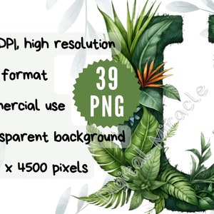 Jungle Alphabet, Tropical Leaves Alphabet, Moss Letters, Greenery ...