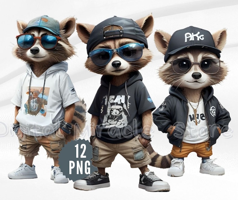 Funny Raccoon PNG, Raccoon With Sunglasses, Raccoon PNG, Cartoon ...