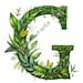 Jungle Alphabet, Tropical Leaves Alphabet, Moss Letters, Greenery ...