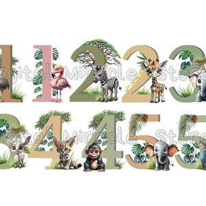 Safari Numbers PNG, Jungle Clipart, Safari Animals, Numbers Clipart ...