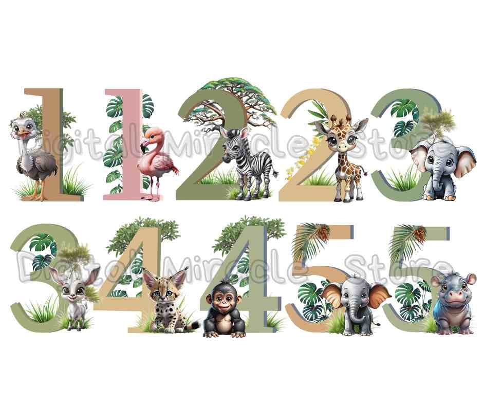 Safari Numbers PNG, Jungle Clipart, Safari Animals, Numbers Clipart ...