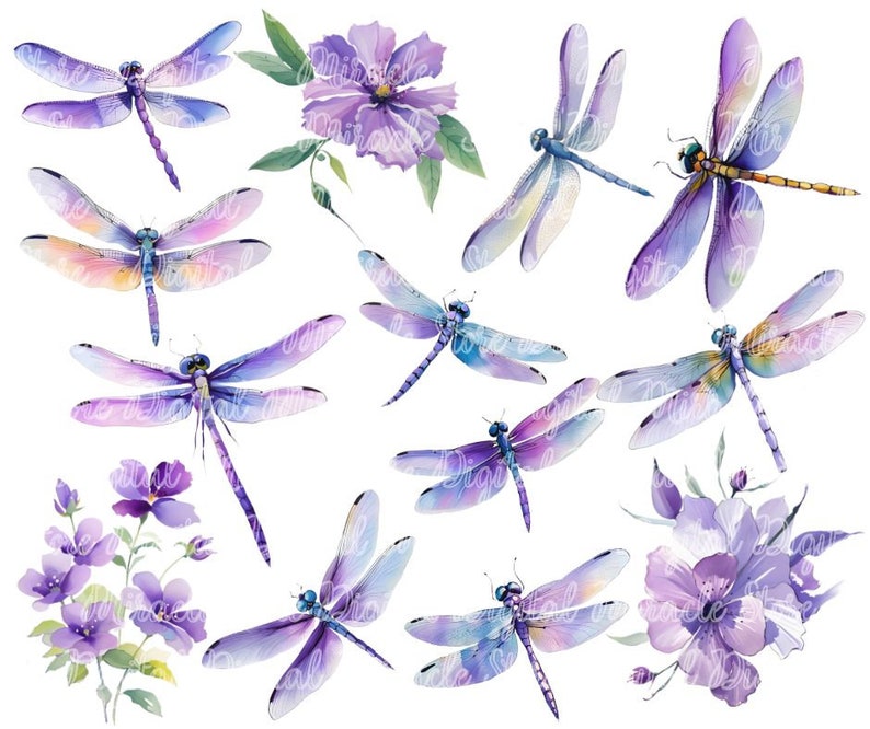 Dragonfly and Flower Clipart, Dragonfly Clipart, Dragonfly PNG ...