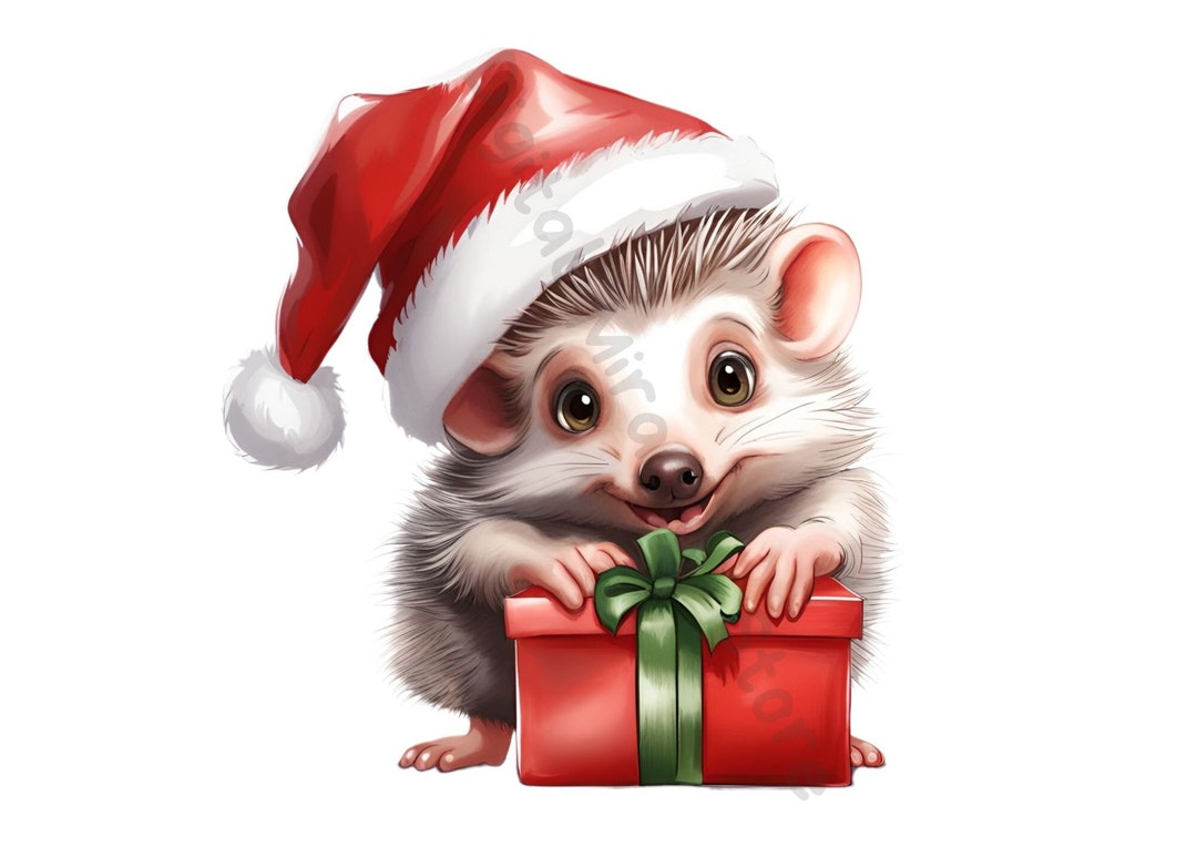 Christmas Hedgehog PNG, Winter Hedgehog, Cute Hedgehog Clip Art, Cute ...