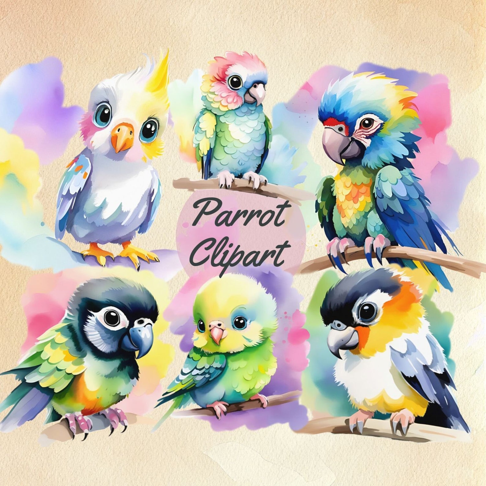 Cute Parrot Clipart, Parrot PNG, Parrot Clip Art, Parrot Watercolor ...