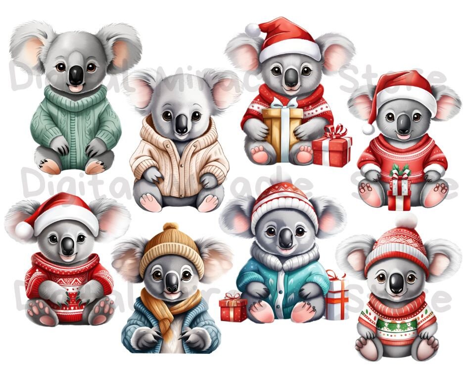 Winter Koala Clipart, Koala in a Hat, Aussie Witer PNG, Australian ...